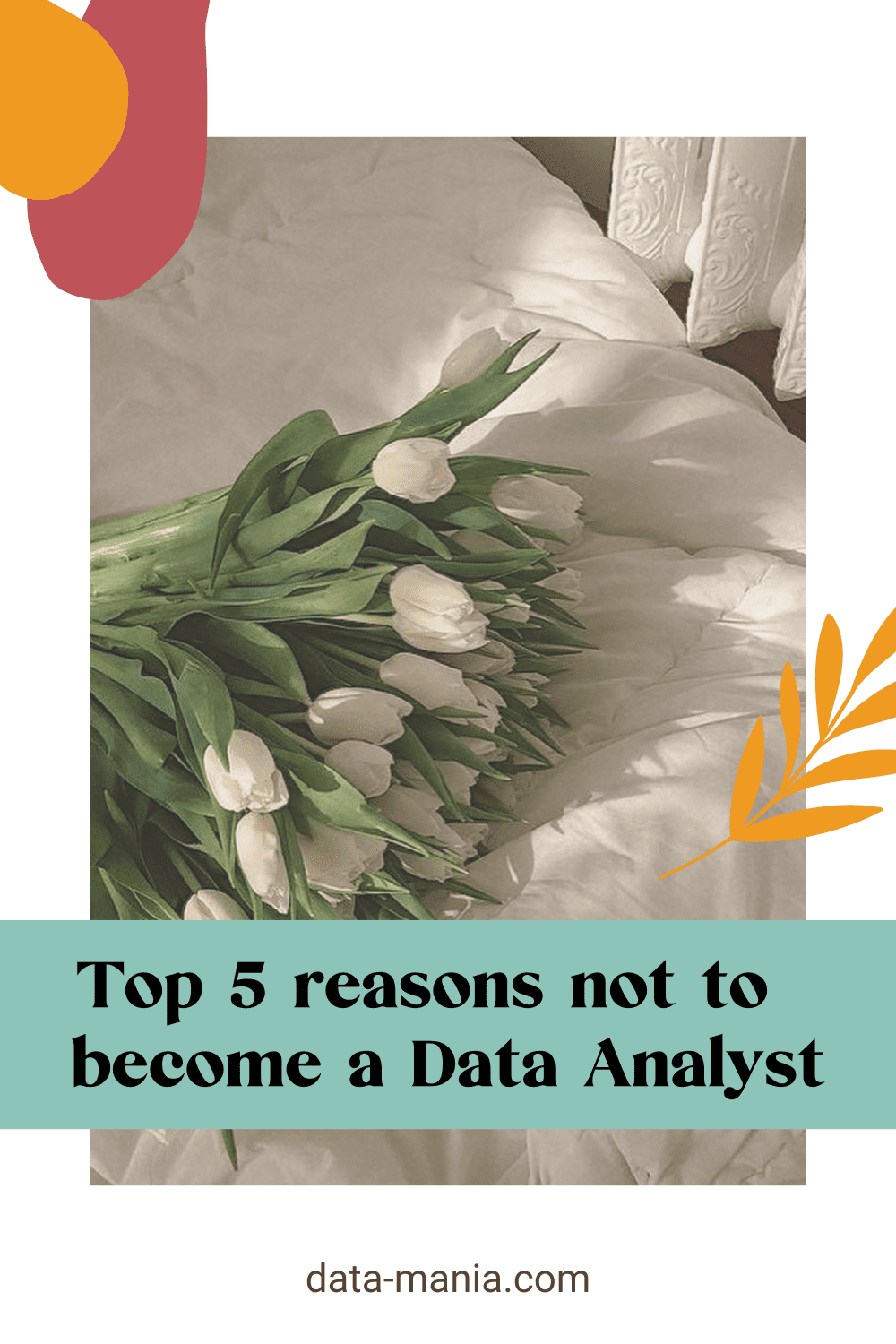 Top 5 Reasons Not to Become a Data Analyst