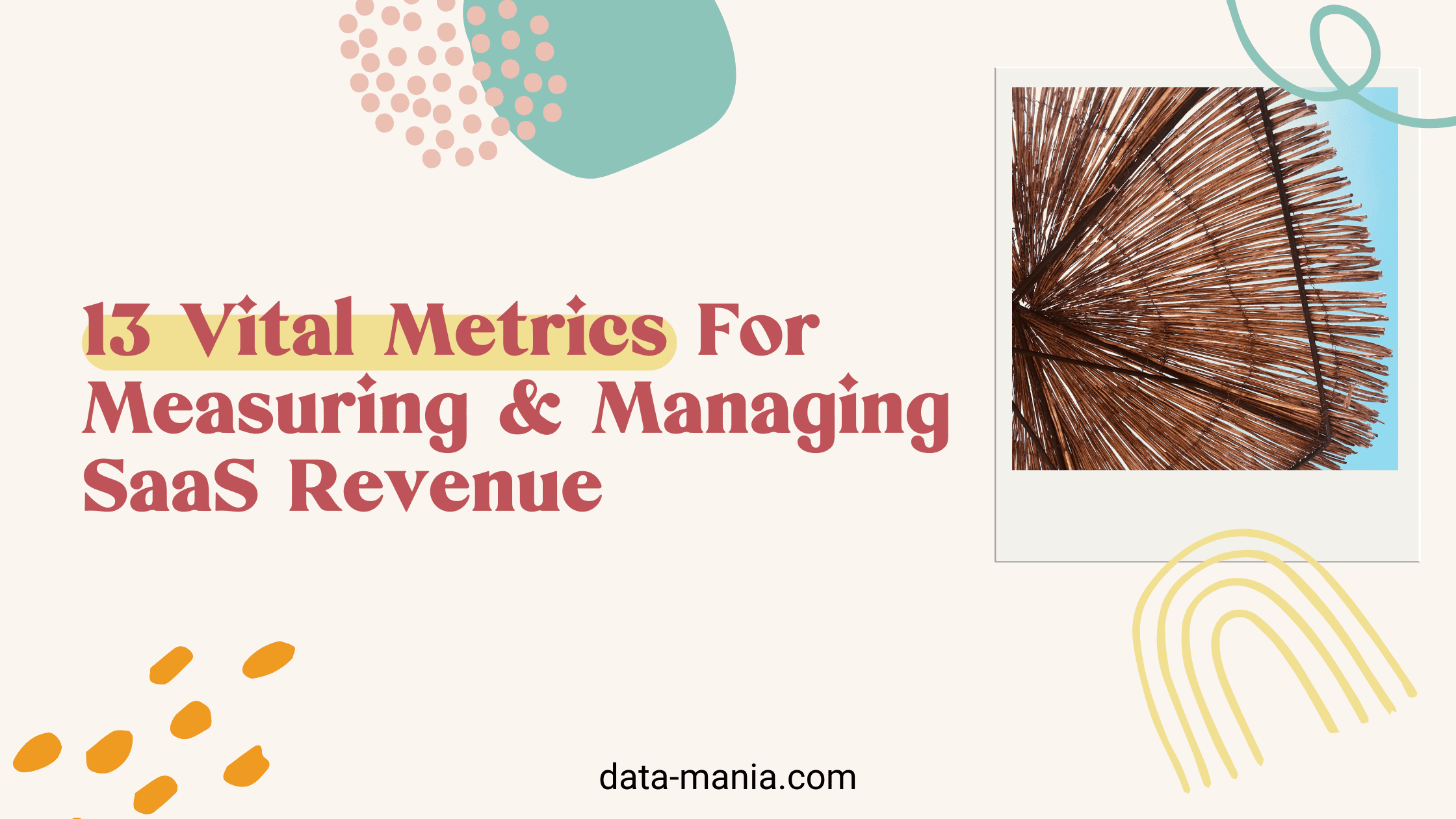 Data Analyst Case Study Examples Data Analyst Case Study Examples